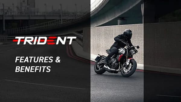 Trident 660 Model | For the Ride