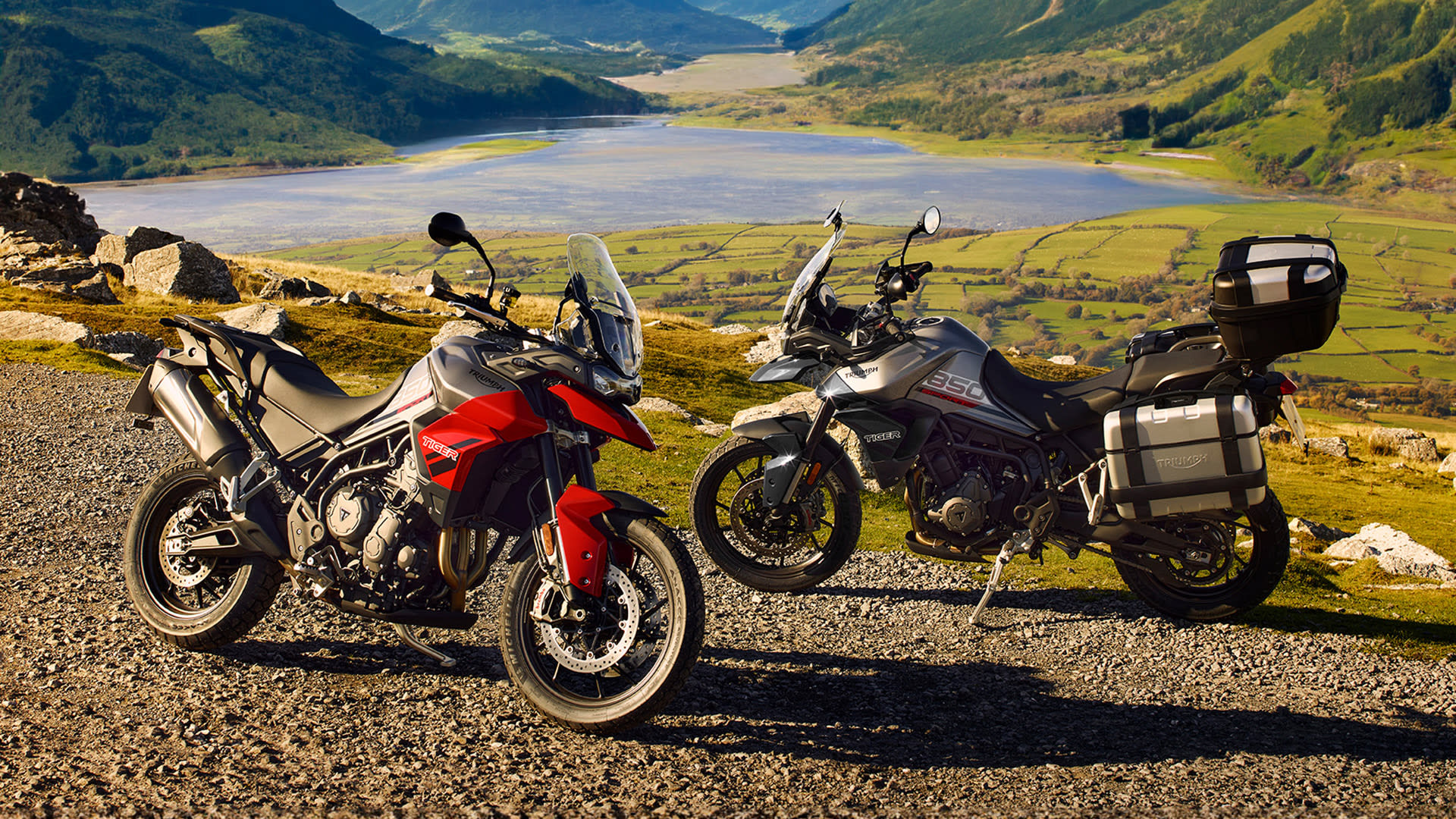 Prueba una Tiger | For the Ride