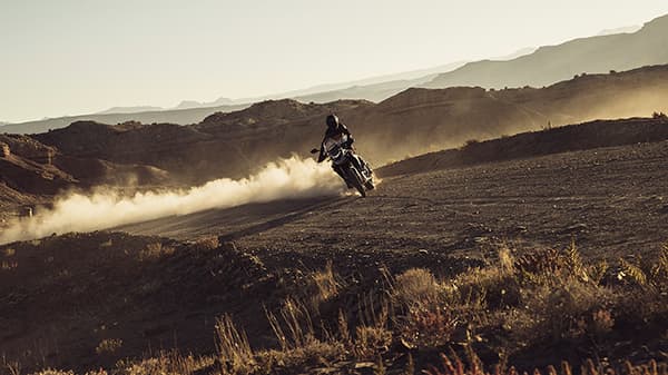 TIGER 900 RALLY PRO | For the Ride