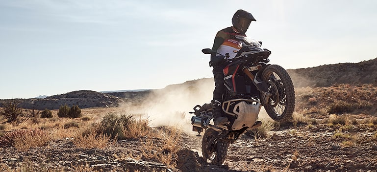 TIGER 900 | For the Ride