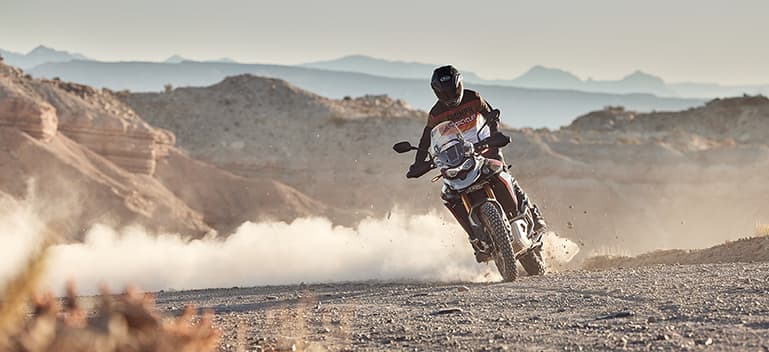 TIGER 900 | For the Ride